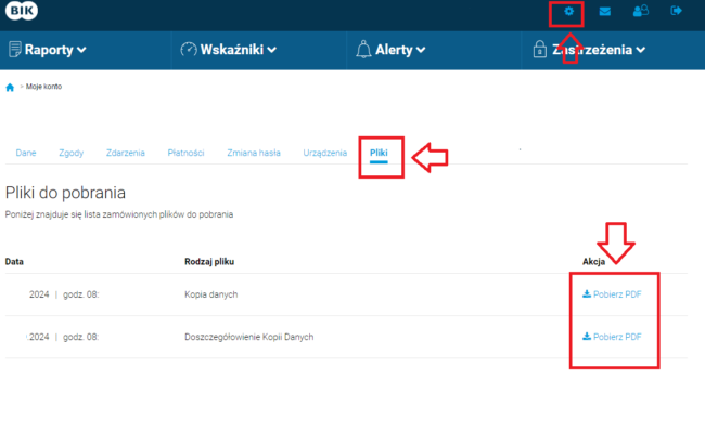 Darmowy raport BIK – jak pobrać? - Finhack