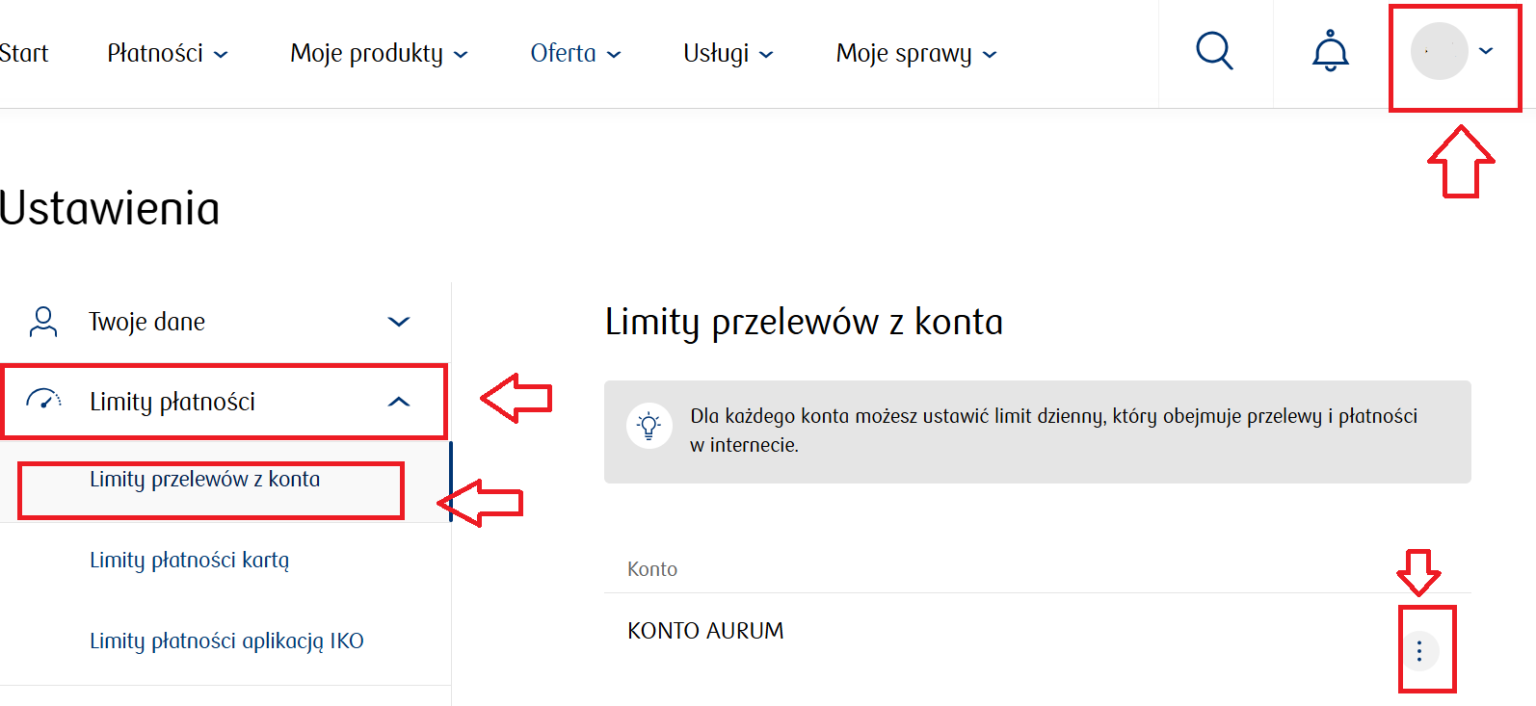 Przelewy krajowe PKO BP – rodzaje, limity, księgowanie - Finhack